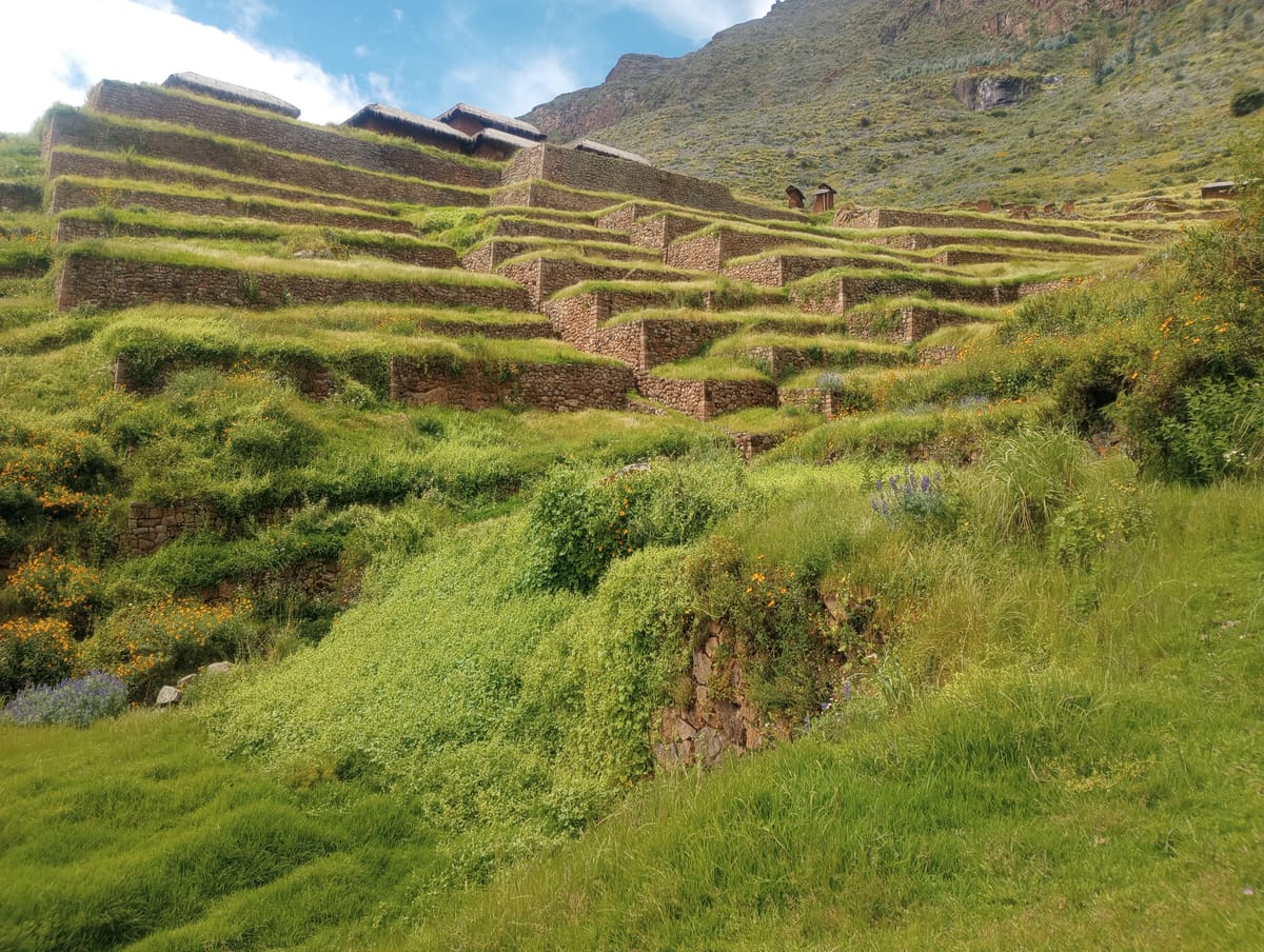 Joe Costello - Life in the 21st Century - Joe Costello